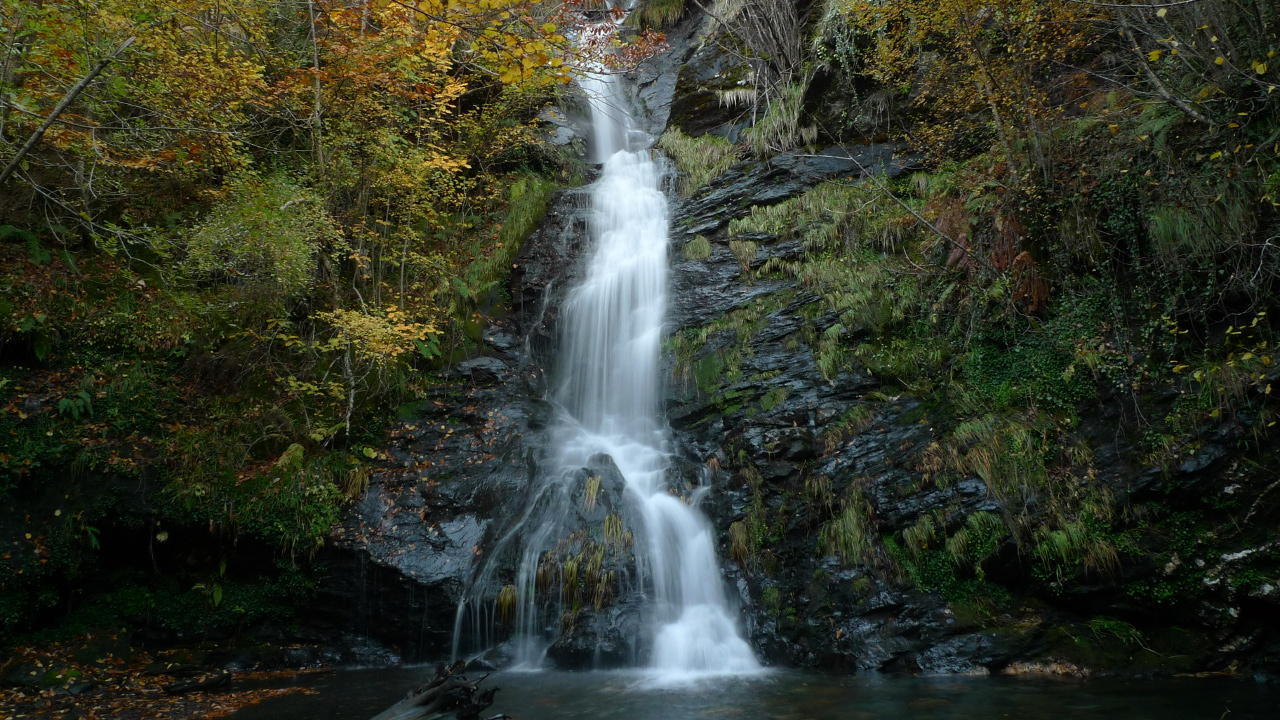 Quiroga | Galiceando